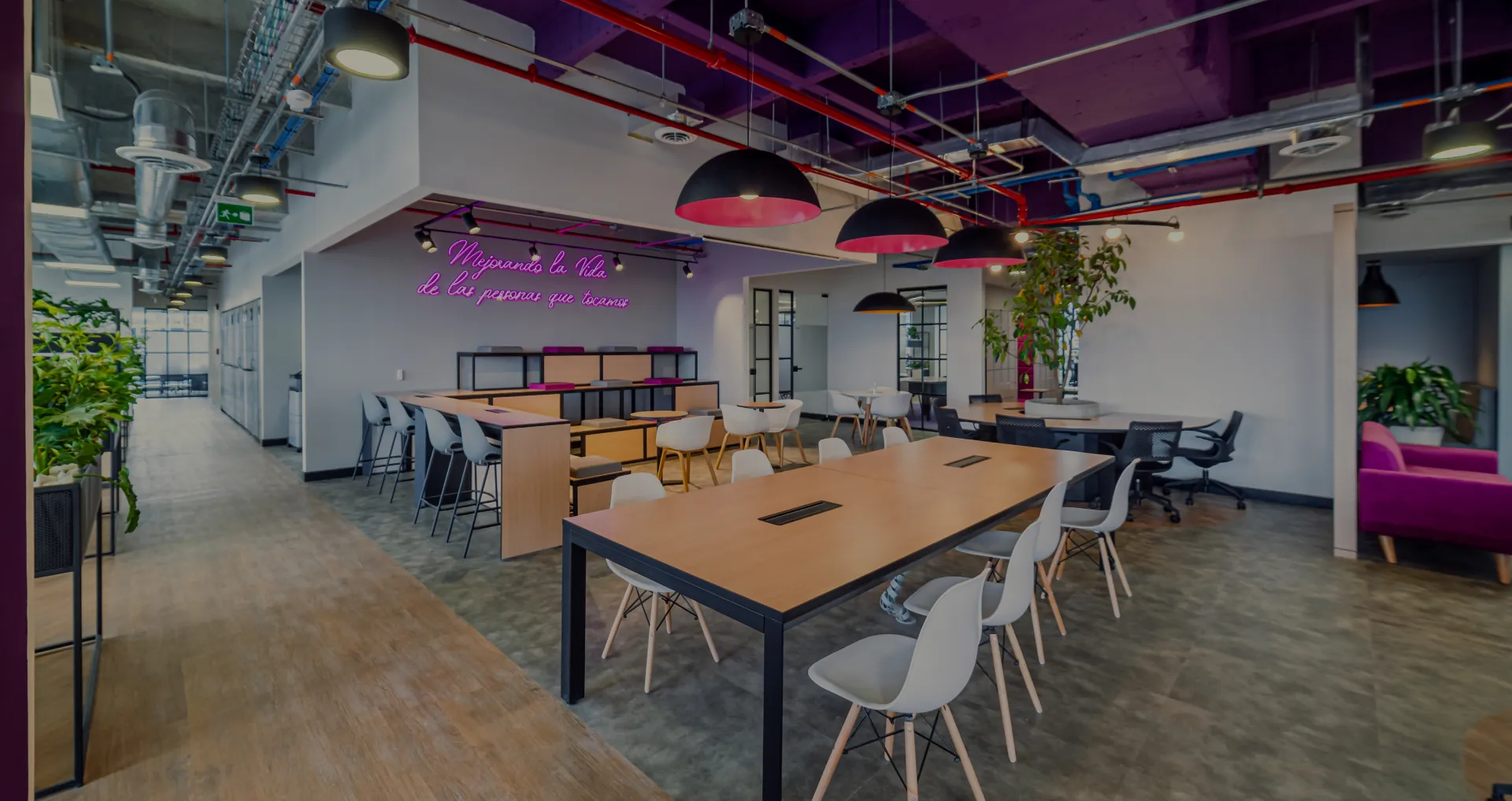 Arquitectura - Solinoff