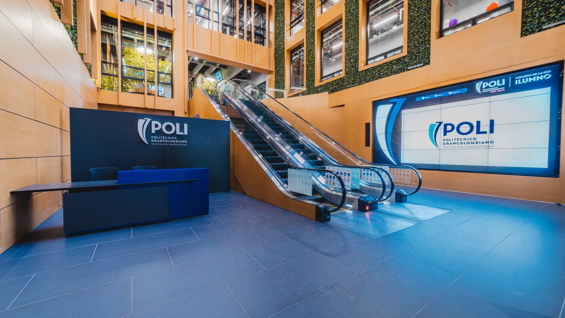 Politécnico - Solinoff