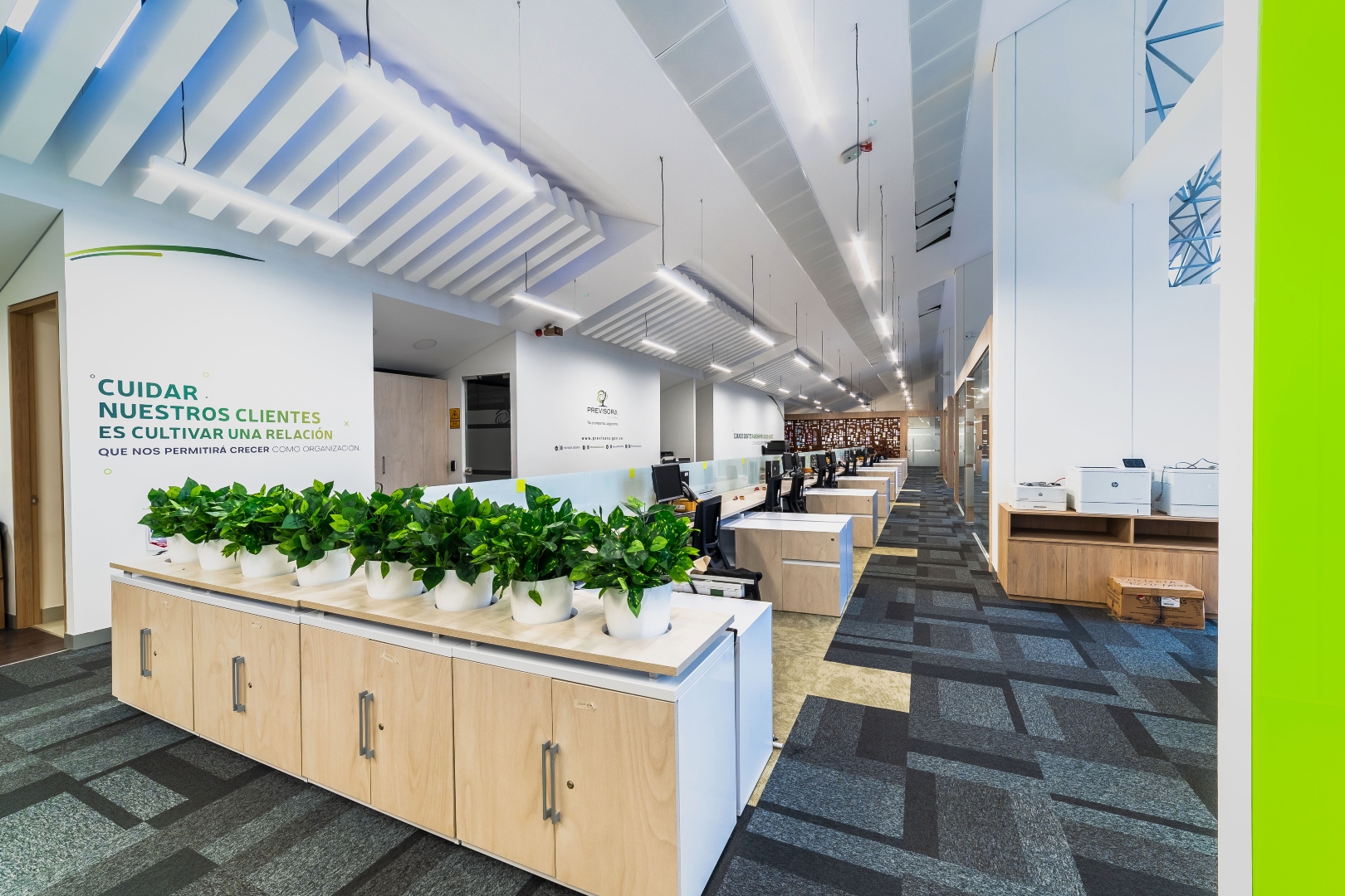 Previsora - Solinoff